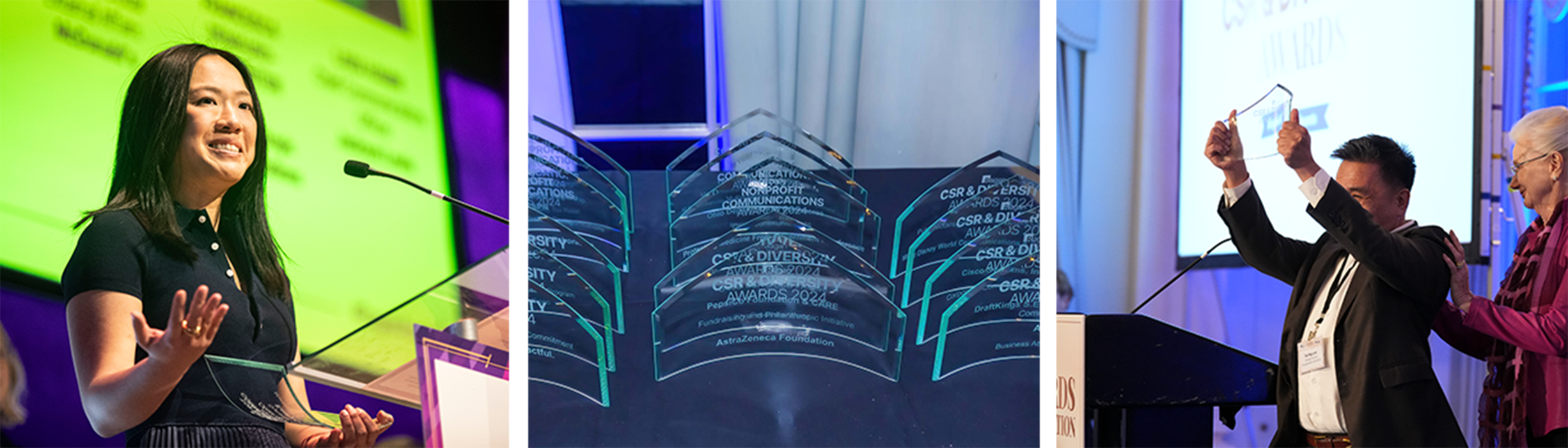 Corporate Social Responsibility Awards 2026 - PR Daily